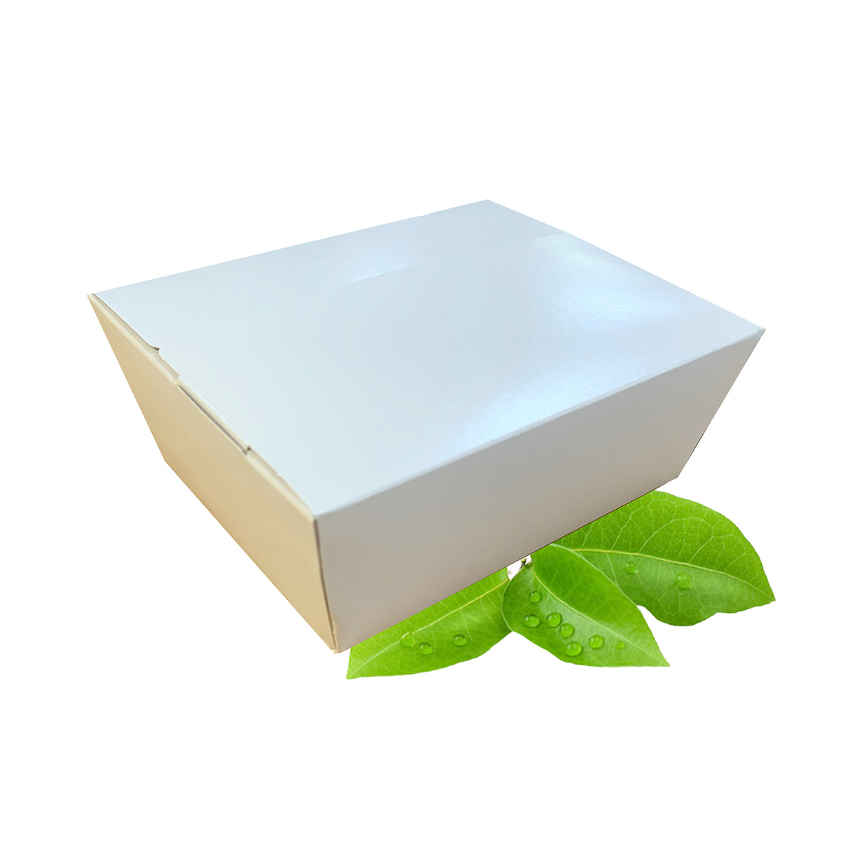 WHITE Medium Preformed Lunch Box (pack of 100) – Enviromall